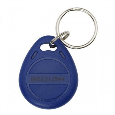 Waterproof EM4200 Key Fob Rfid Tag 125khz Blue Color Silk Screen Printing