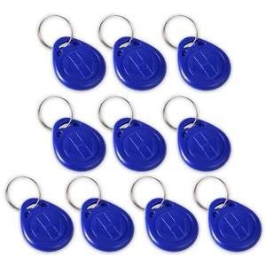 Waterproof EM4200 Key Fob Rfid Tag 125khz Blue Color Silk Screen Printing