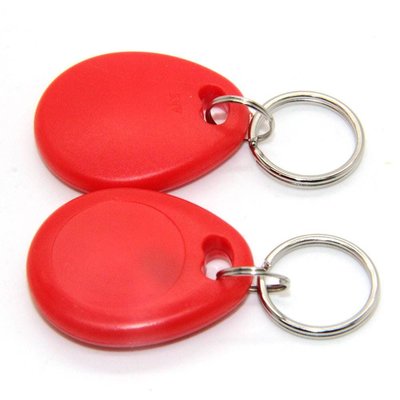 Proximity LF RFID Key Fob Tag Keychain Read / Write For Hotel Door Mangement