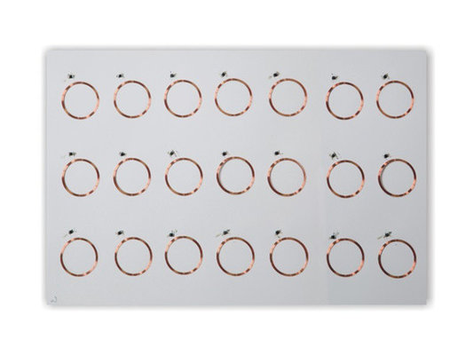 FM11RF08 F08 Chip 13.56mhz Pvc Rfid Inlay Sheet Prelam Pvc Material For Time Attendance Smart Card Factory